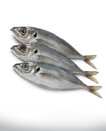 Markai Seafood